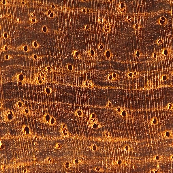 Dust Collection in a Shared Shop: A Wood Scientist’s Perspective ...